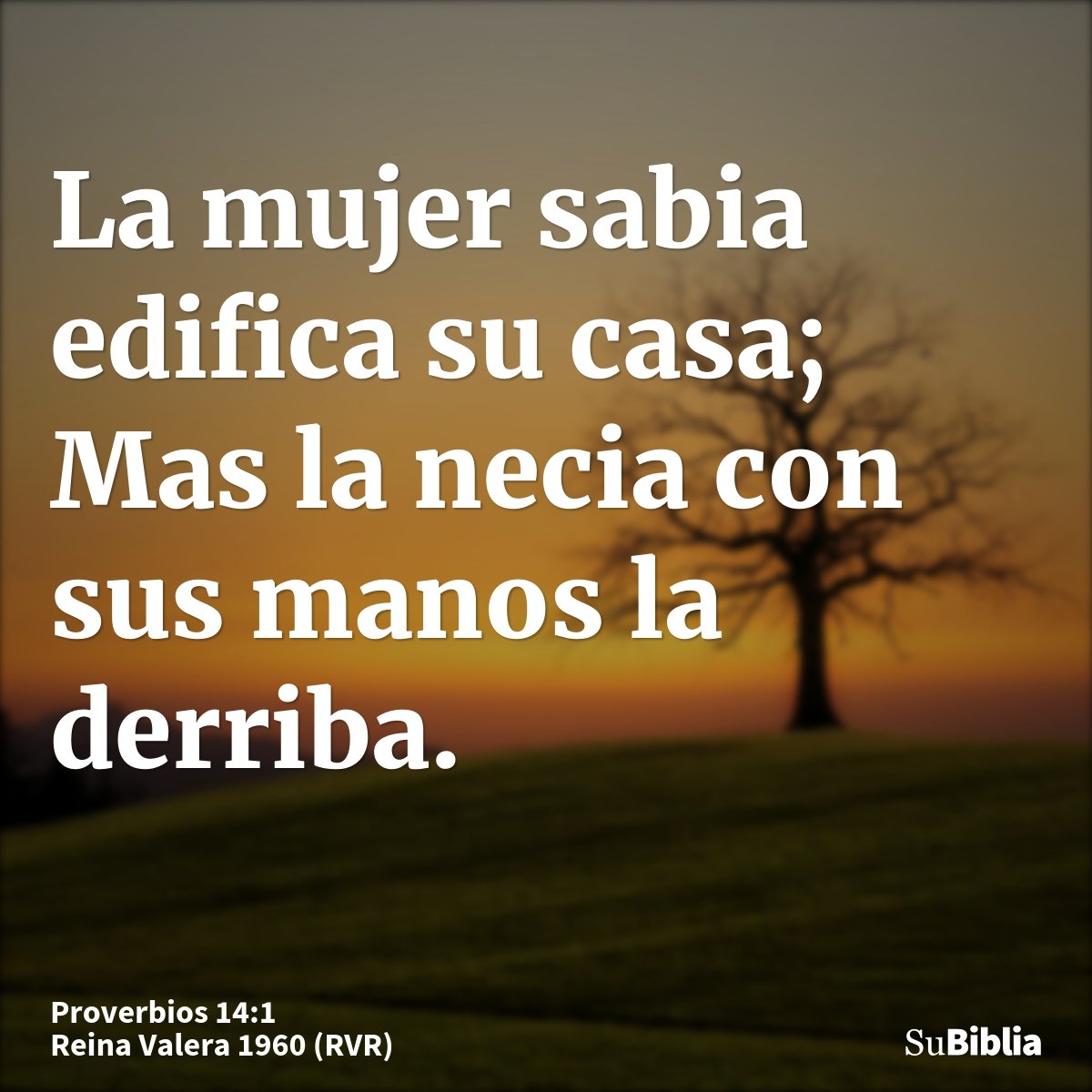 ¿Qué dice Proverbios 14?