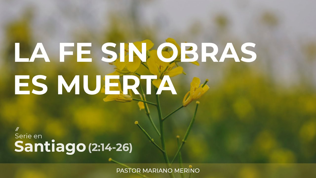 ¿Qué es la fe sin obras? – Diosnosguia